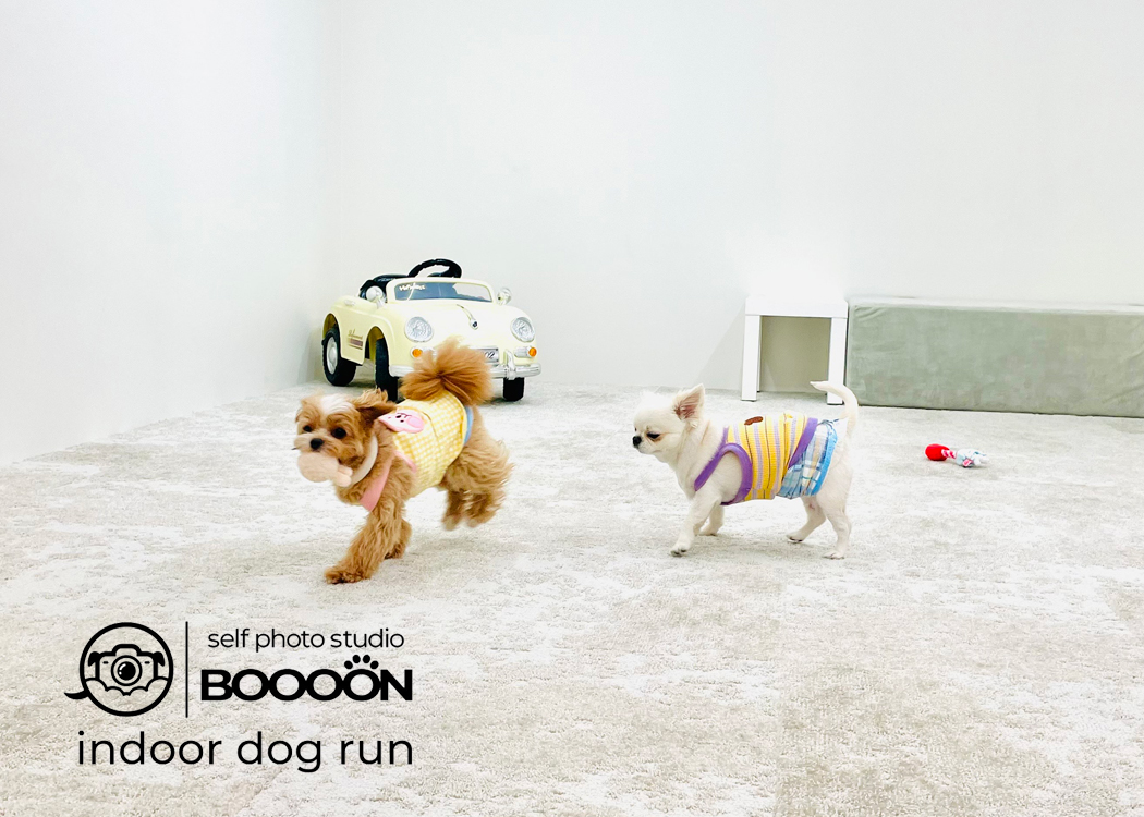 BOOOON湘南辻堂 - とことこ湘南